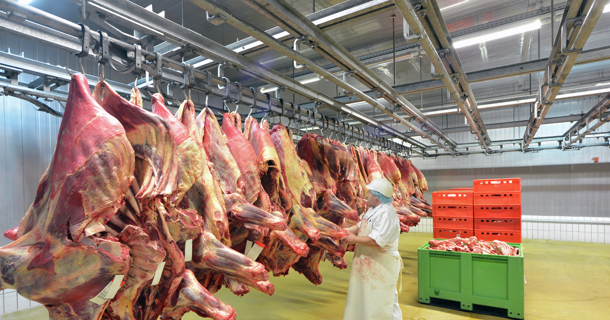 Lager mit speziellen Betriebsbedingungen | Schutzmassnahmen