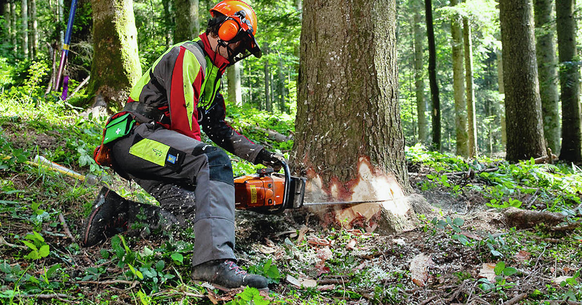 Forestier-bûcheron: EPI sont indispensables